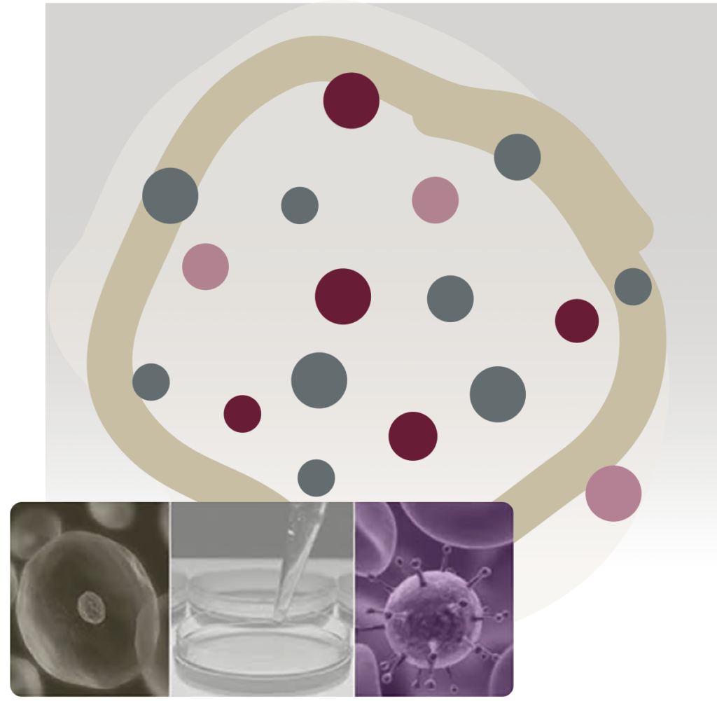 Fundación SEIMC-GESIDA – Bienvenidos a la Fundación SEIMC-GeSIDA